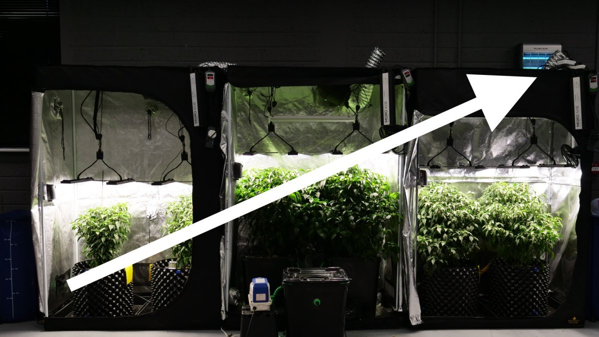 5 ways to improve the yield from your grow room – MIGROLIGHT