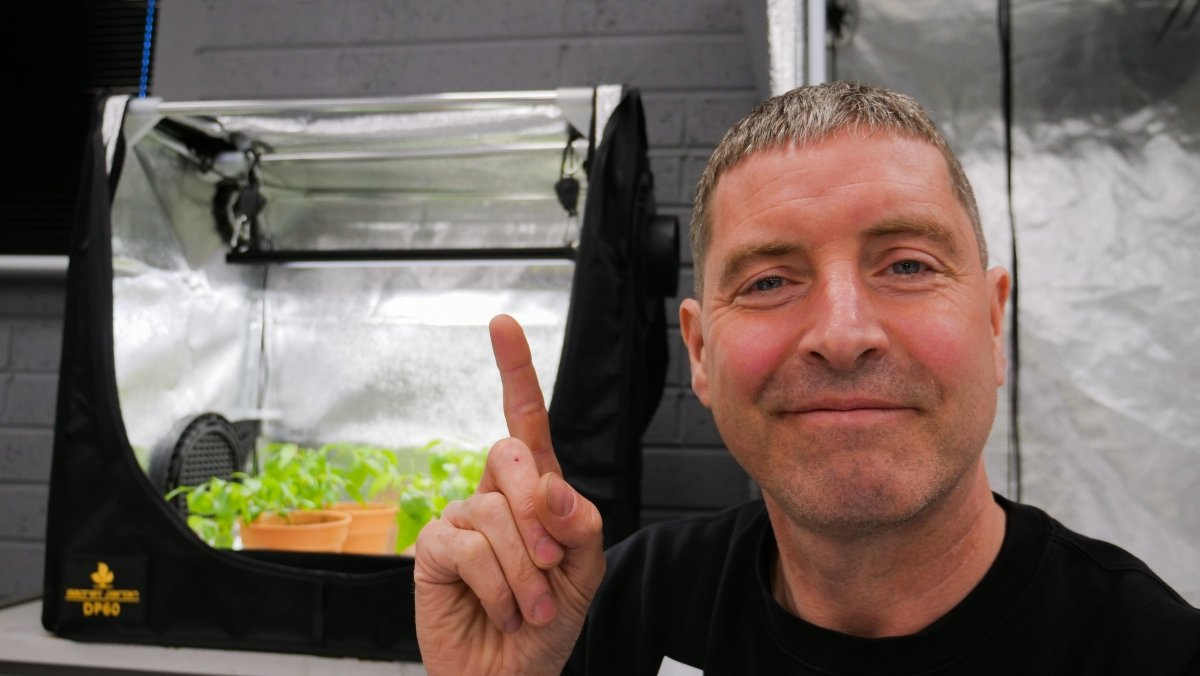 How to use a seedling grow light for 33% more yield – MIGROLIGHT